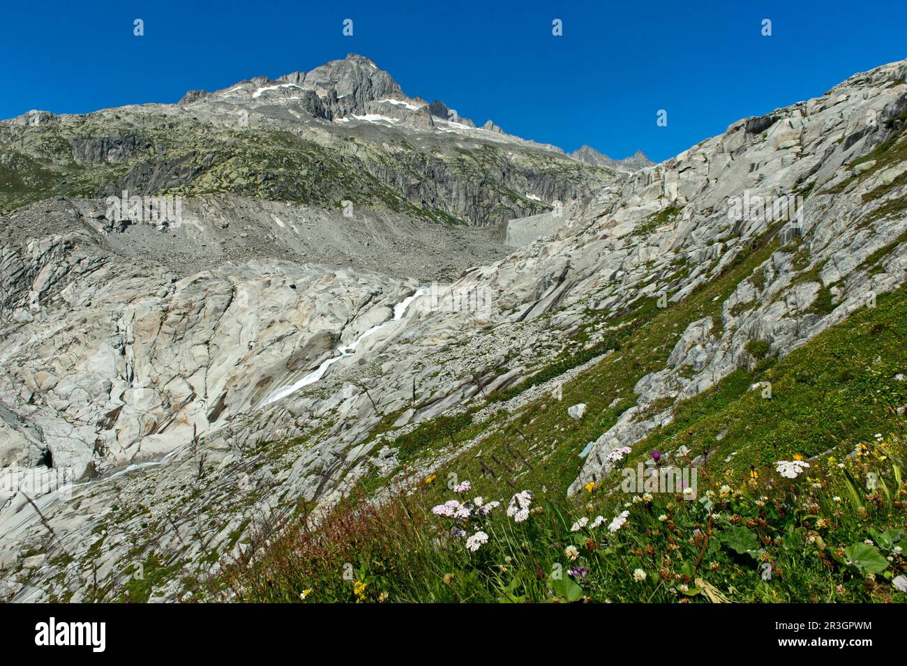 The ice-free bed of the Rhone glacier, Gletsch, Valais, Switzerland ...