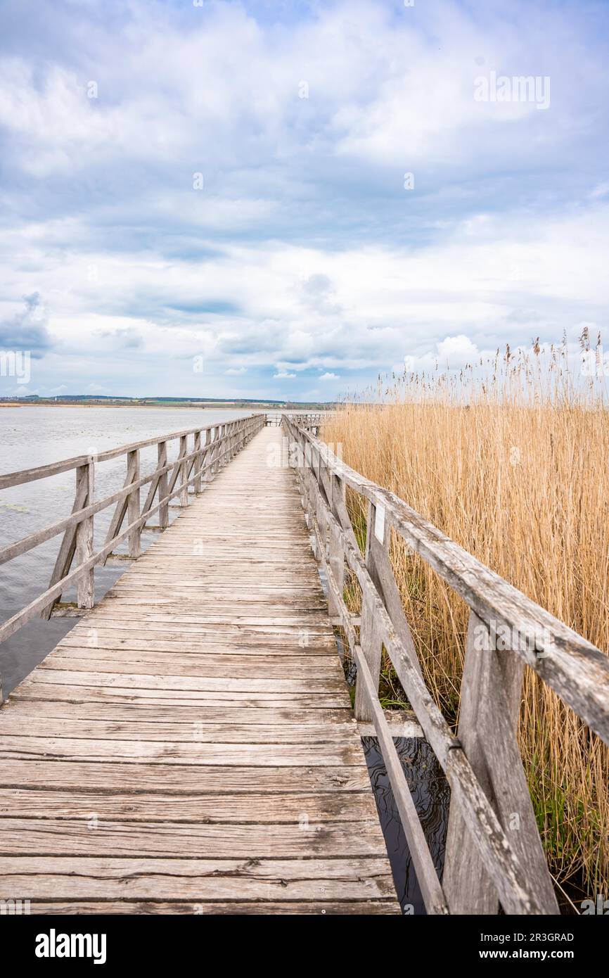 Footbridge on the lake with reeds, Unesco World Heritage Site ...