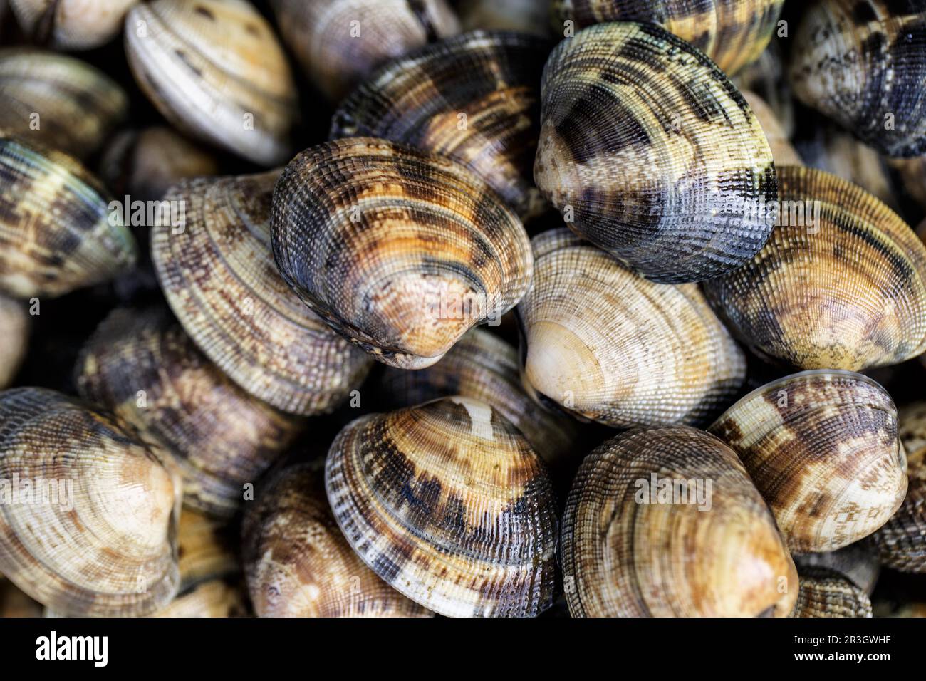 Cooked animal hi-res stock photography and images - Alamy
