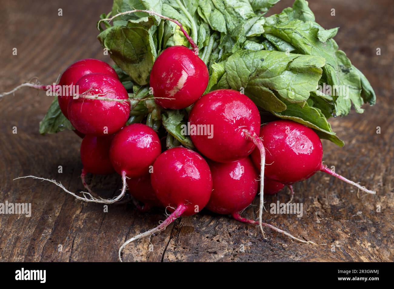 Frische gartenradieschen auf holz hi-res stock photography and images ...