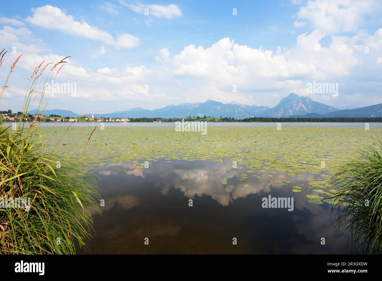 Lake Hopfensee in the Allgaeu (Bavaria) (Germany Stock Photo - Alamy