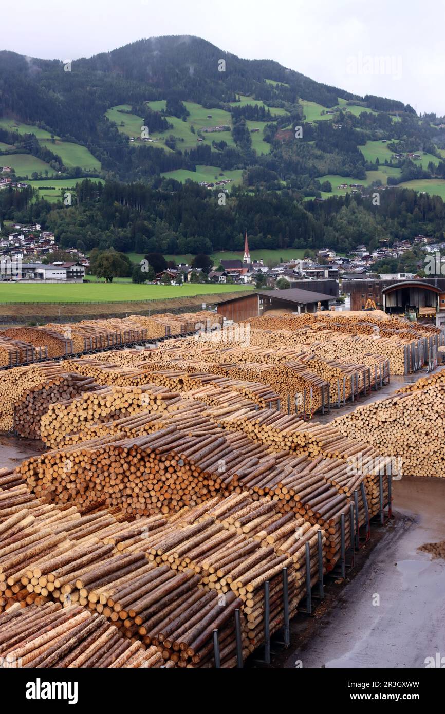 Log storage and processing in the sawmill of Binderholz GmbH Stock ...