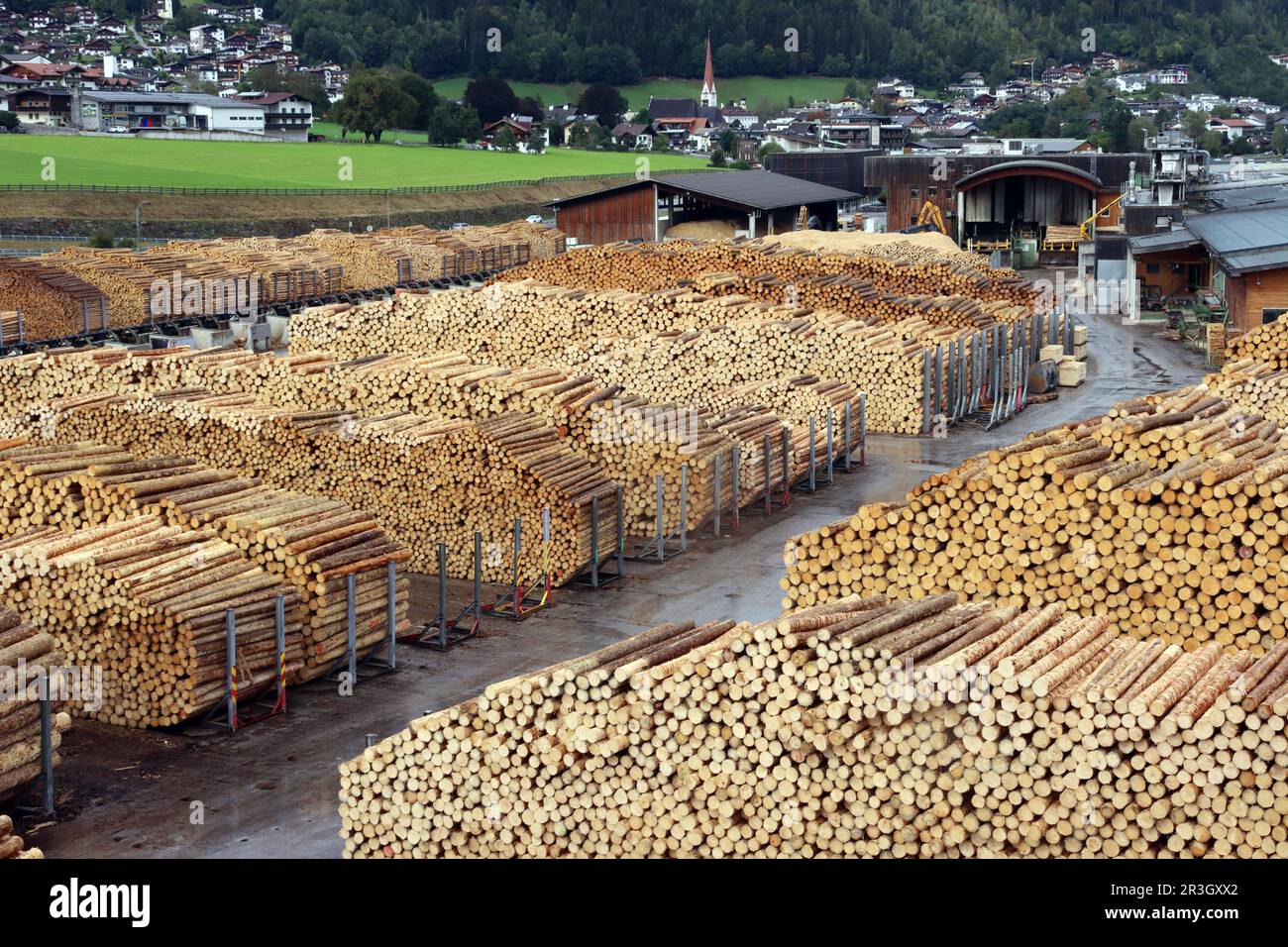Log storage and processing in the sawmill of Binderholz GmbH Stock ...