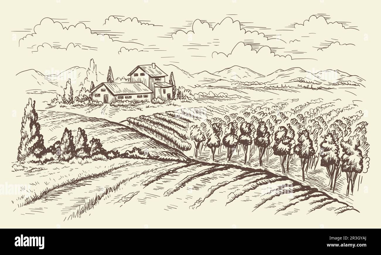 Grape farm vineyard farmer Stock Vector Images - Alamy