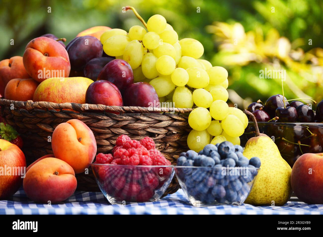 Basket of fresh organic fruits in the garden Stock Photo - Alamy