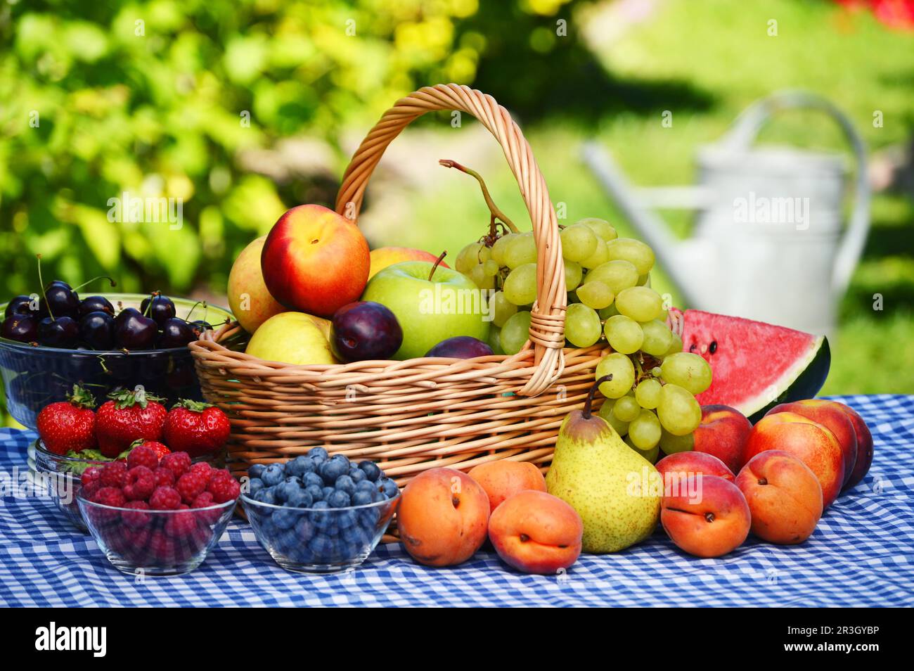 Basket of fresh organic fruits in the garden Stock Photo - Alamy