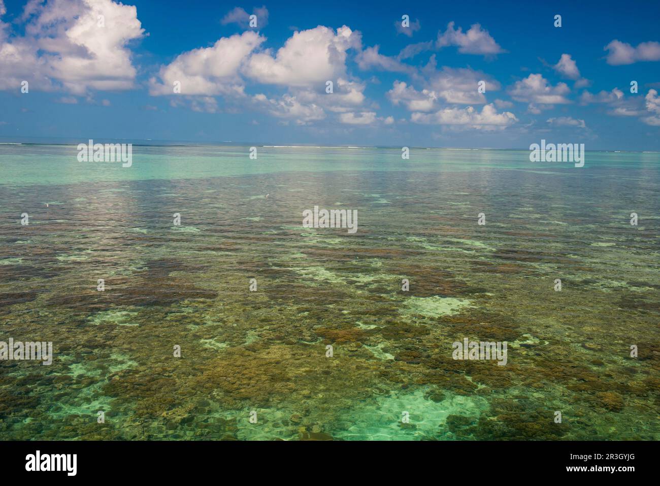 Fiji water hi-res stock photography and images - Alamy
