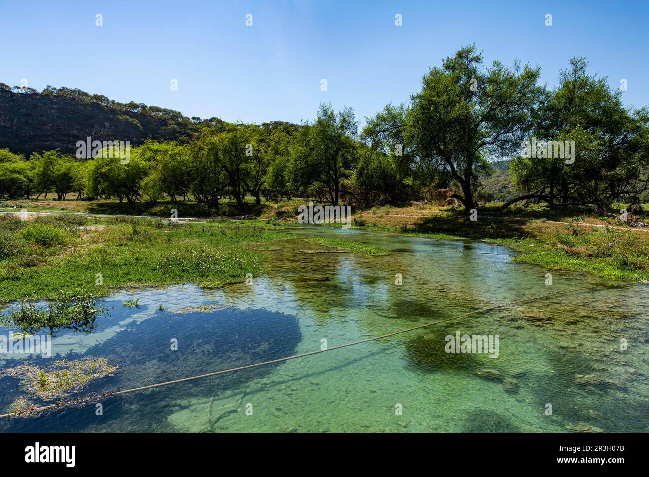 Wadi river hi-res stock photography and images - Alamy