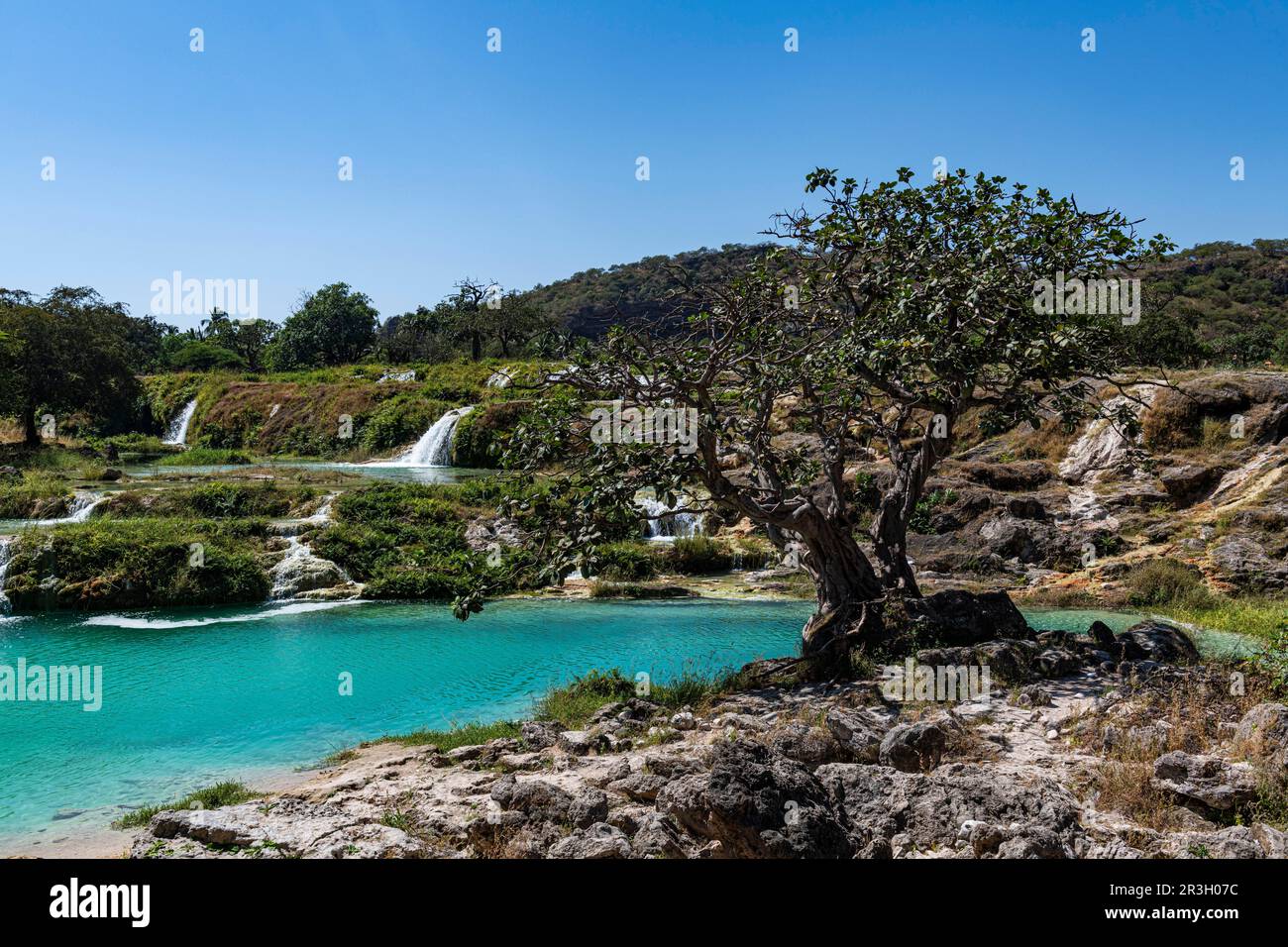 Turquoise waterfalls, Wadi Darbat, Salalah, Oman Stock Photo - Alamy