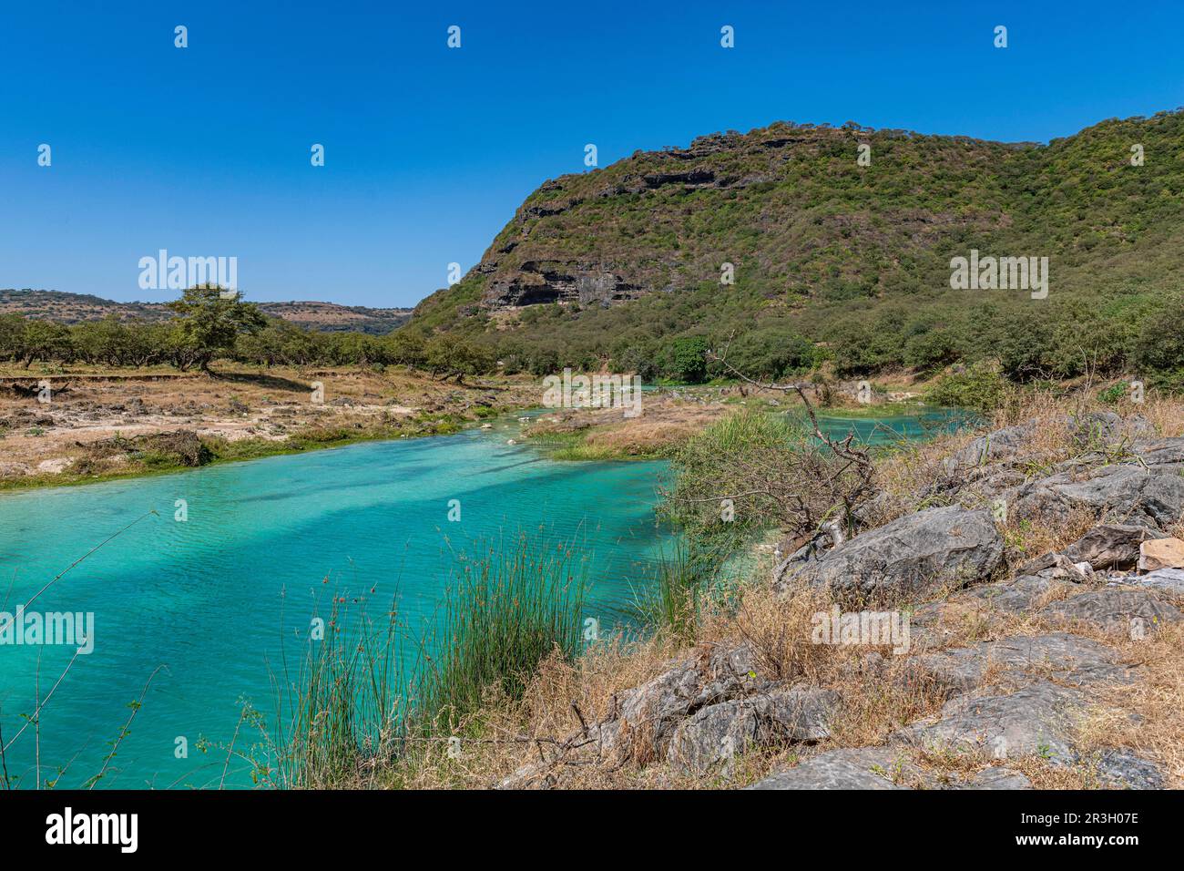 Wadi river hi-res stock photography and images - Alamy