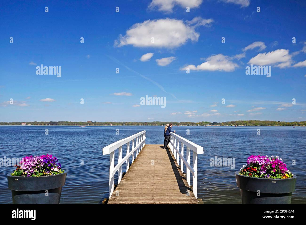 Flower arrangement, lookout pier, Zwischenahner Meer, Bad Zwischenahn ...