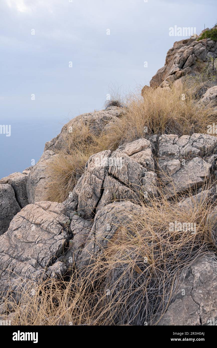 Cliffs of Maro-Cerro Gordo, Nerja, Spain Stock Photo - Alamy
