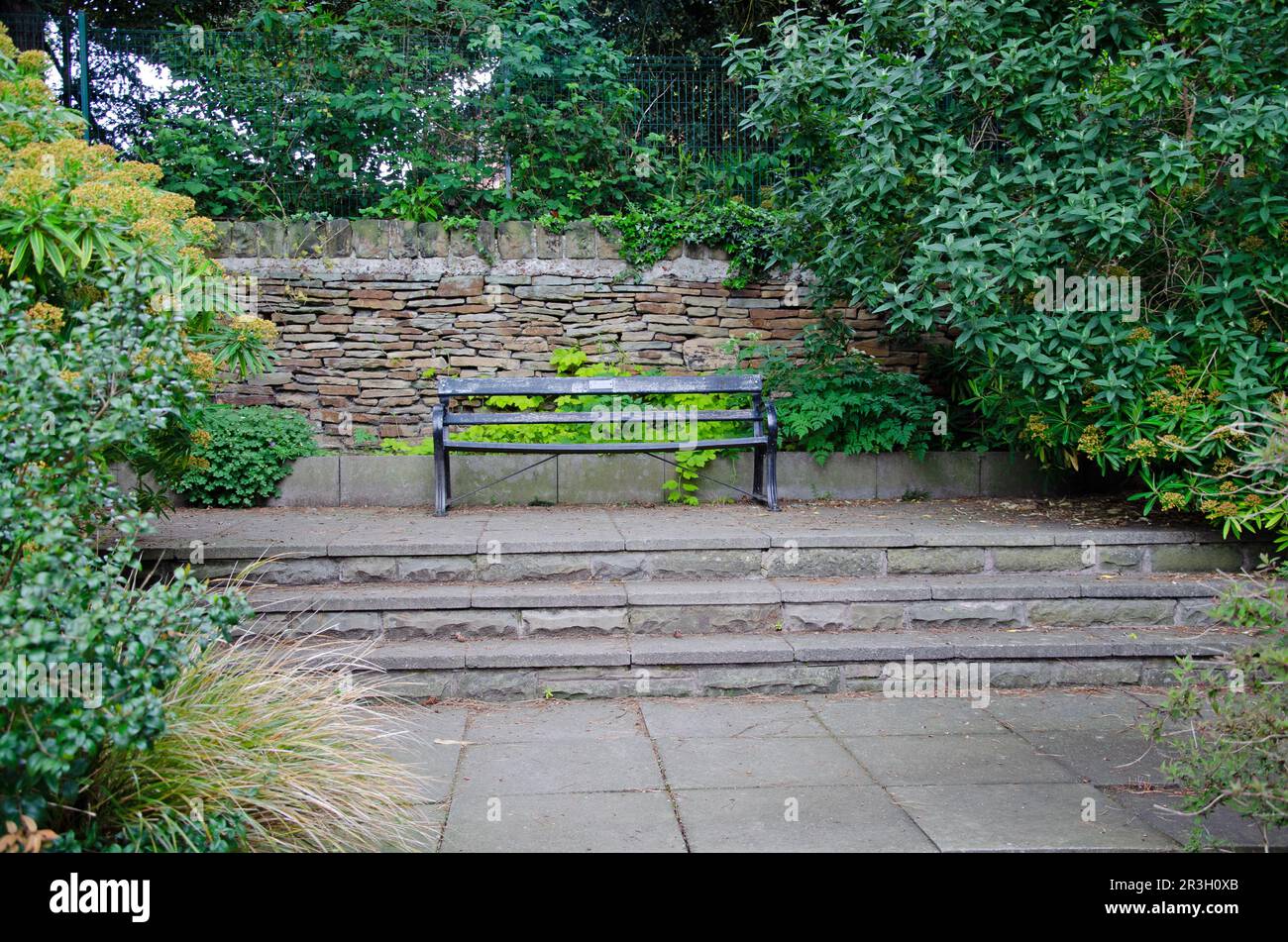 Peaceful bench in a garden, dry stone wall in background, stone steps ...