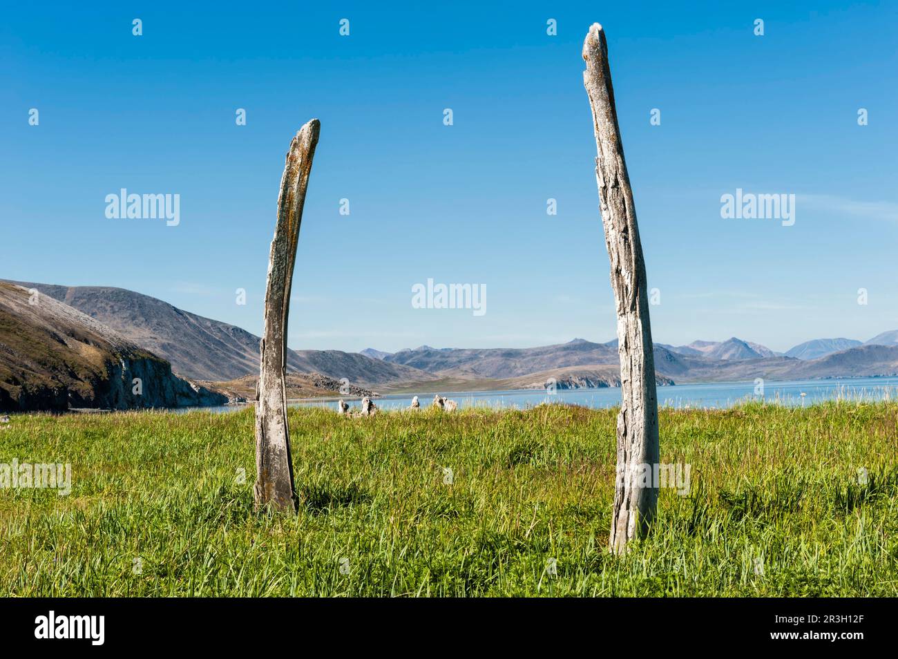 Whale Bone Avenue, Ittygran Island, Chukotka, Russia Stock Photo - Alamy