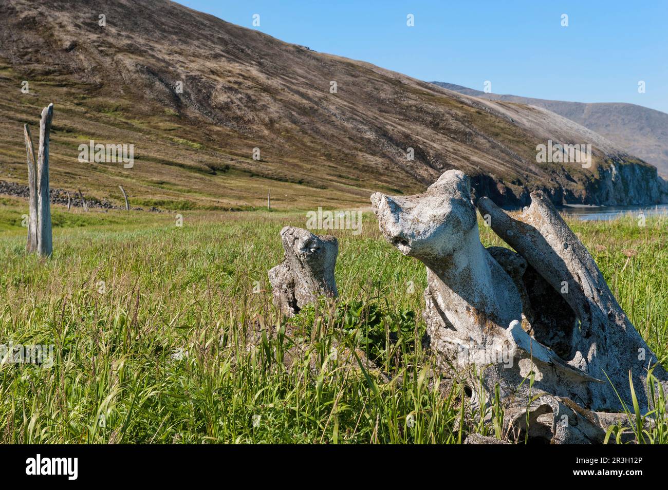 Whale Bone Avenue, Ittygran Island, Chukotka, Russia Stock Photo - Alamy