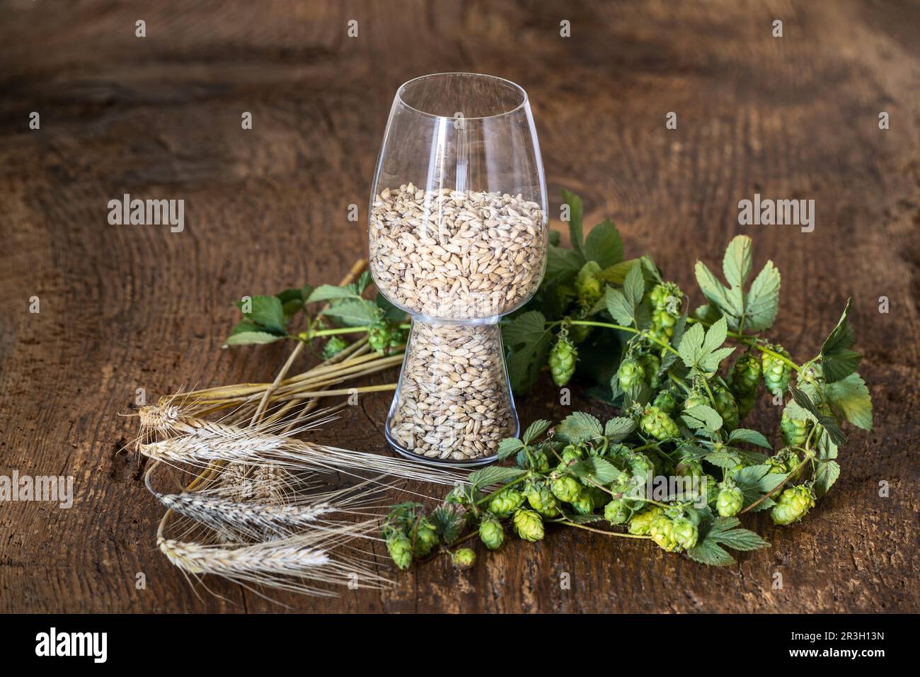 Malt and hops and hi-res stock photography and images - Alamy