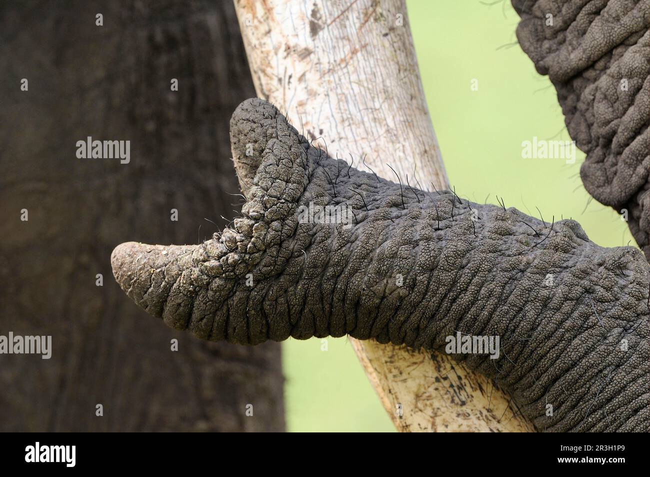 Mara peak hi-res stock photography and images - Alamy