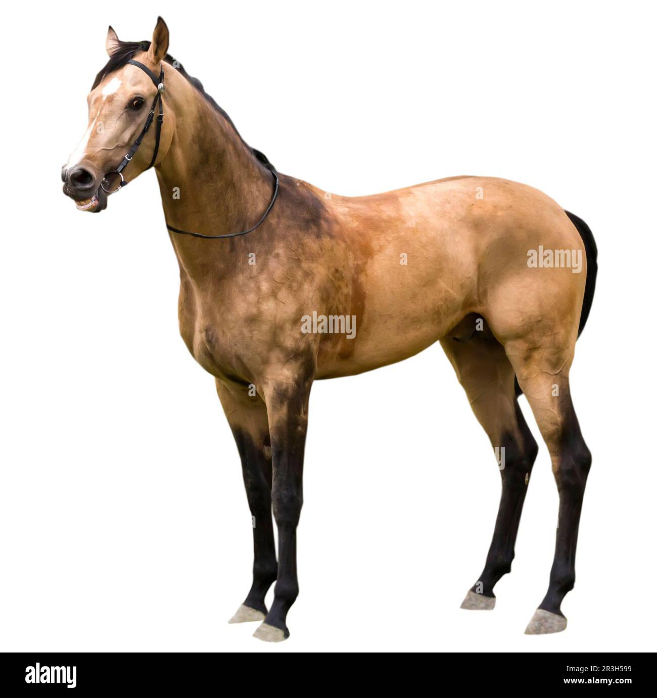 Teke teke Cut Out Stock Images & Pictures - Alamy