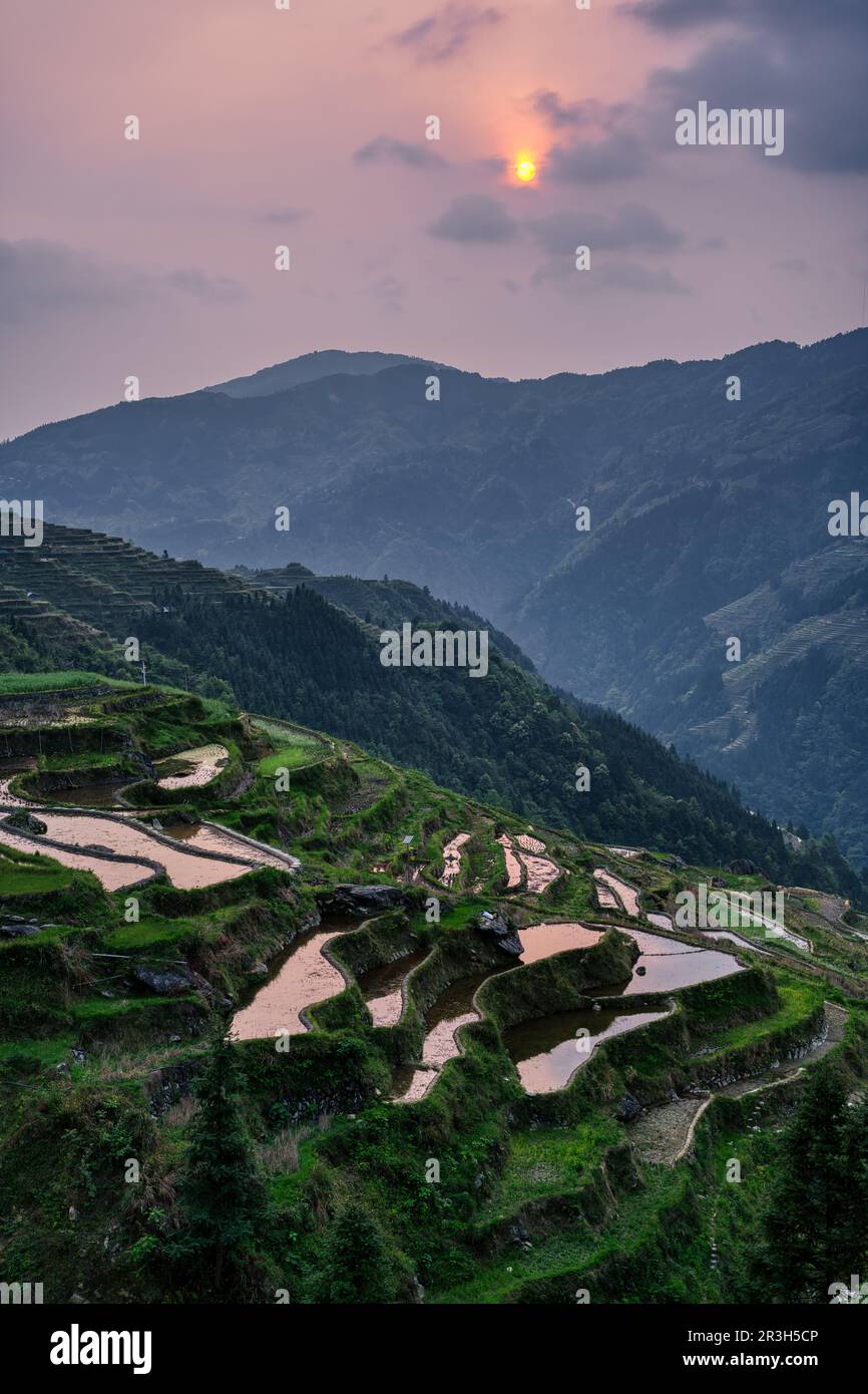 Sunrise of paddy fields hi-res stock photography and images - Alamy