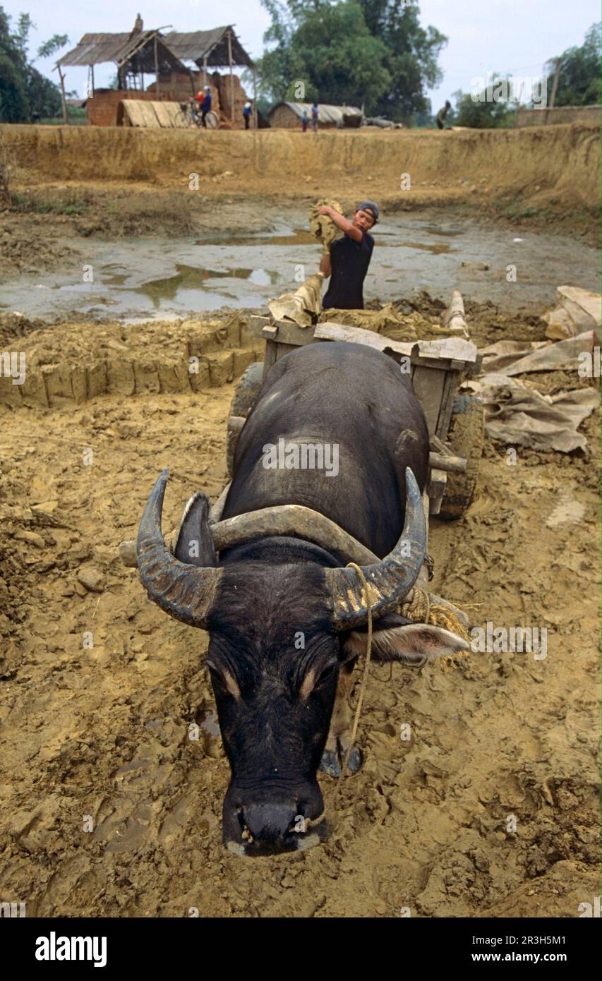 Even brick hi-res stock photography and images - Alamy