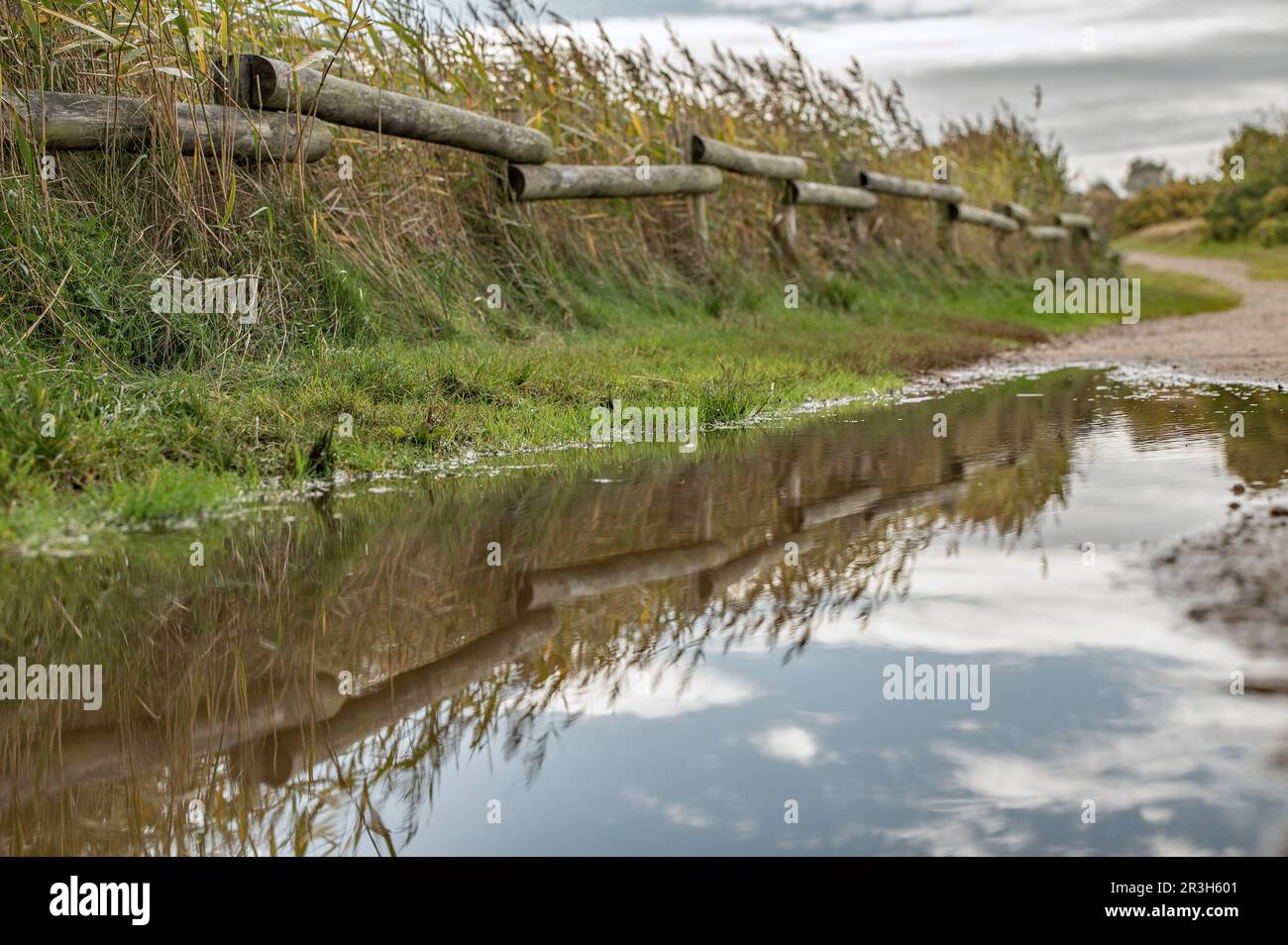 Puddle sea water hi-res stock photography and images - Alamy