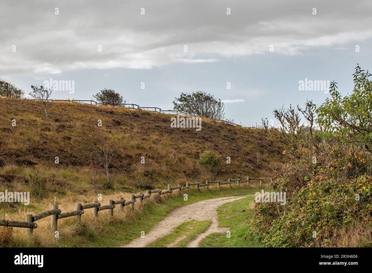 Heath landscape hi-res stock photography and images - Alamy