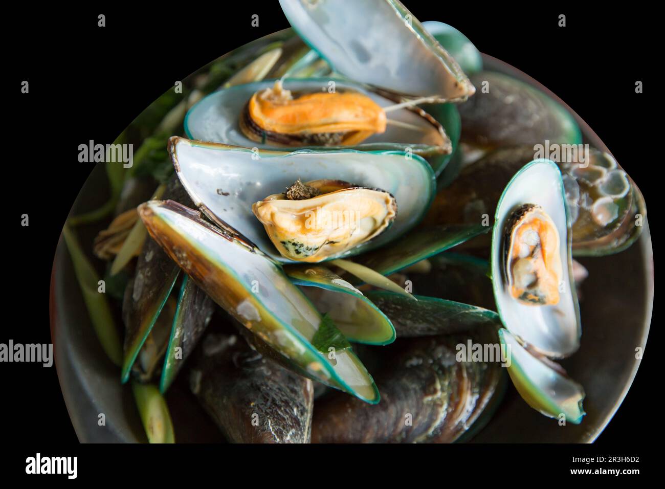 Die cut of steam mussels in a pot on black isolated Stock Photo - Alamy