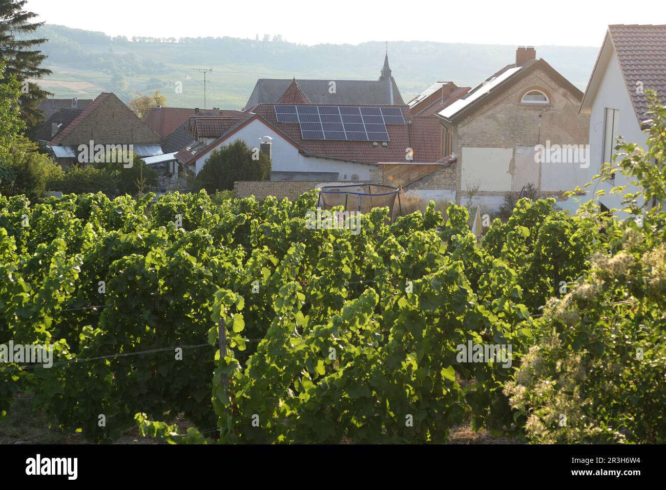Schwabenheim hi-res stock photography and images - Alamy