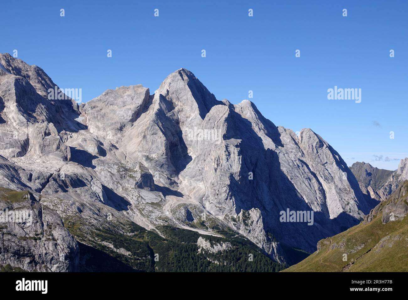 Vernel hi-res stock photography and images - Alamy