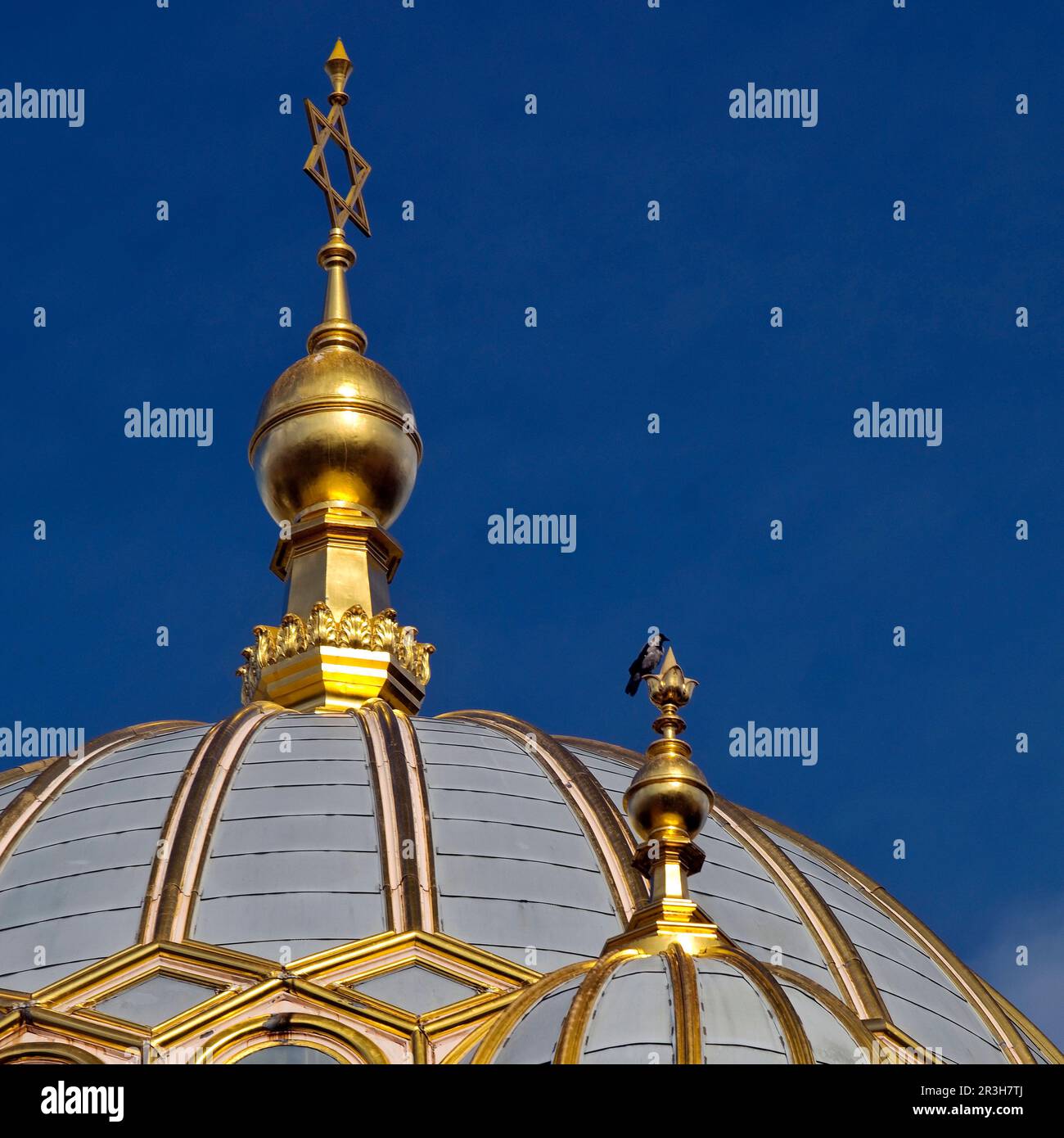Tambour dome covered with gilded ribs, New Synagogue, Berlin, Germany ...