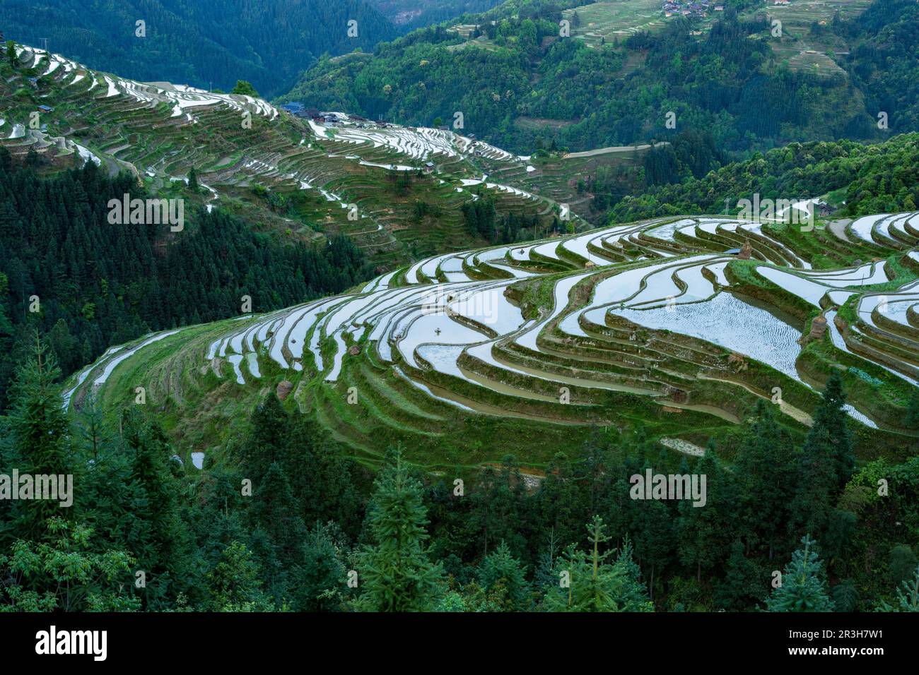 terrace fields in overcast weather Stock Photo - Alamy