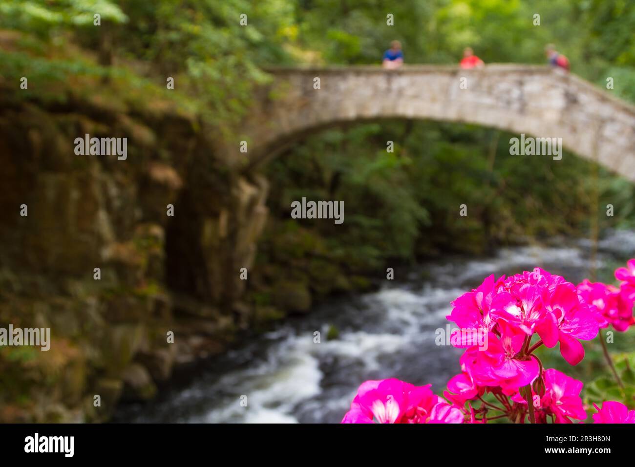 Bode Bode Valley with bridge near Thale Stock Photo - Alamy