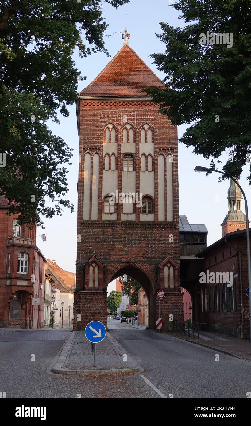 Groeper hi-res stock photography and images - Alamy