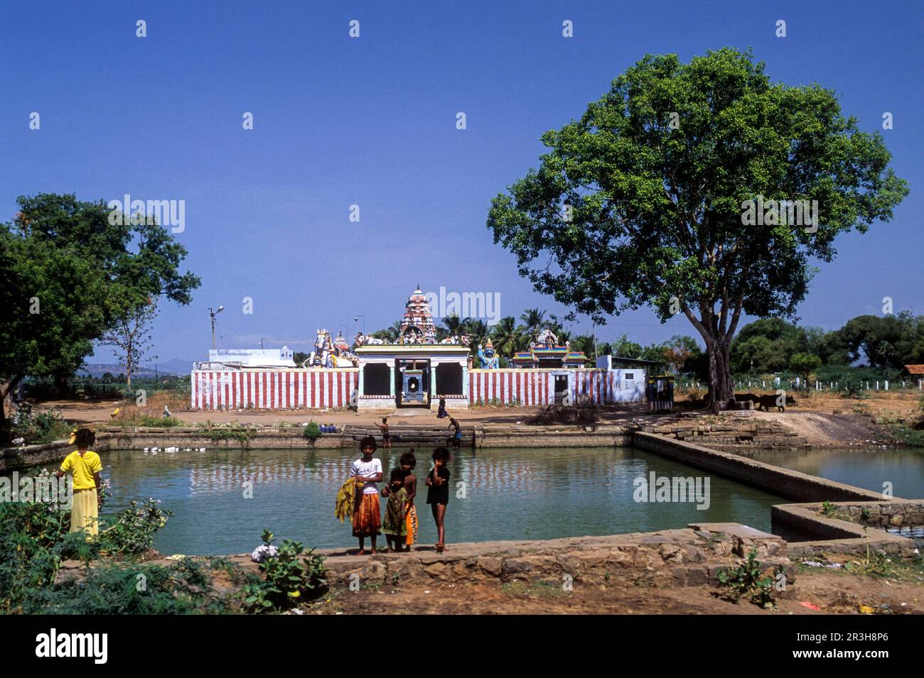 Ayyanar tempe with a tank and a Peepal tree, Ficus religiosa in a ...