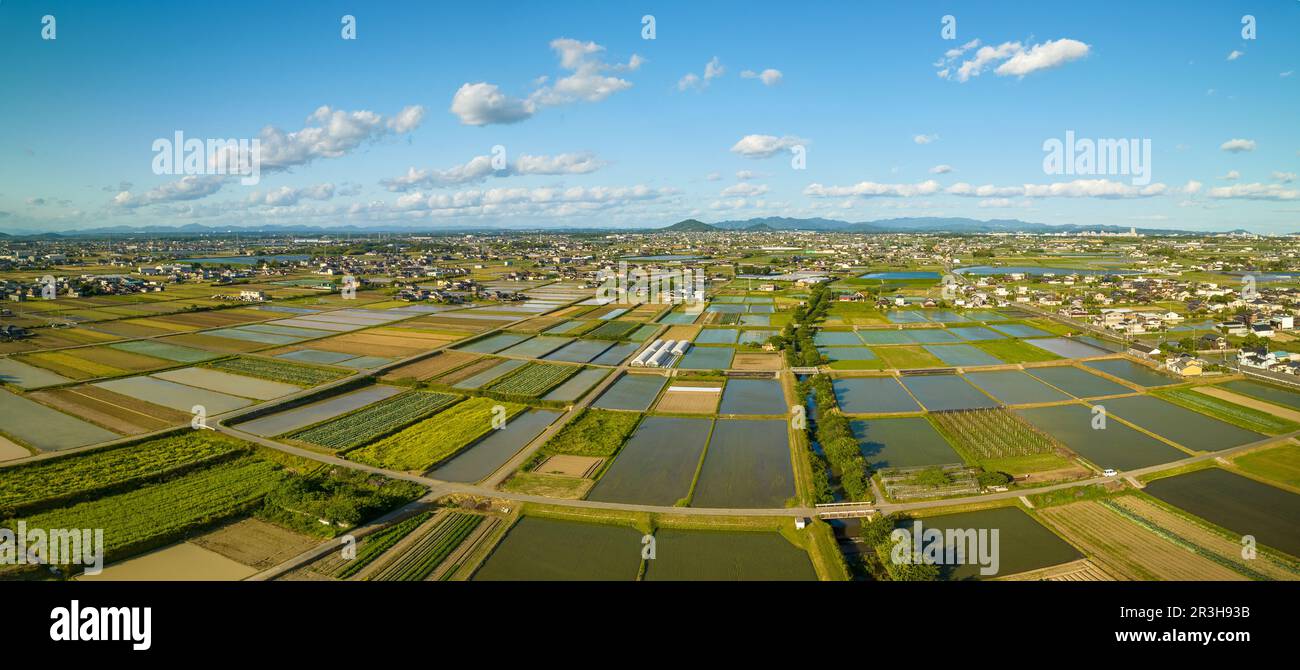 Paddy field edge hi-res stock photography and images - Alamy