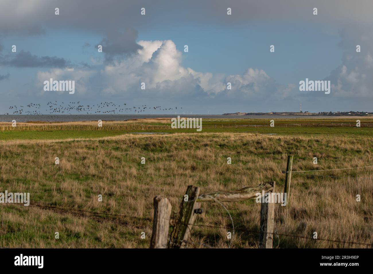 Pastures meadows wind farm hi-res stock photography and images - Alamy