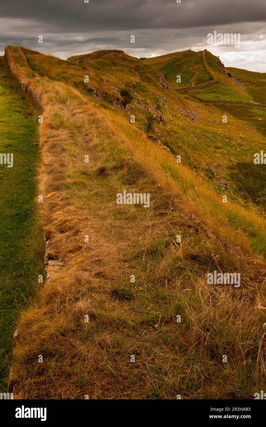 Hadrian's Wall, Hexham, Northumberland, England, United Kingdom Stock ...