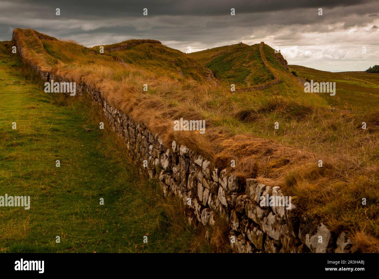 Hadrian's wall northumberland hexham hi-res stock photography and ...