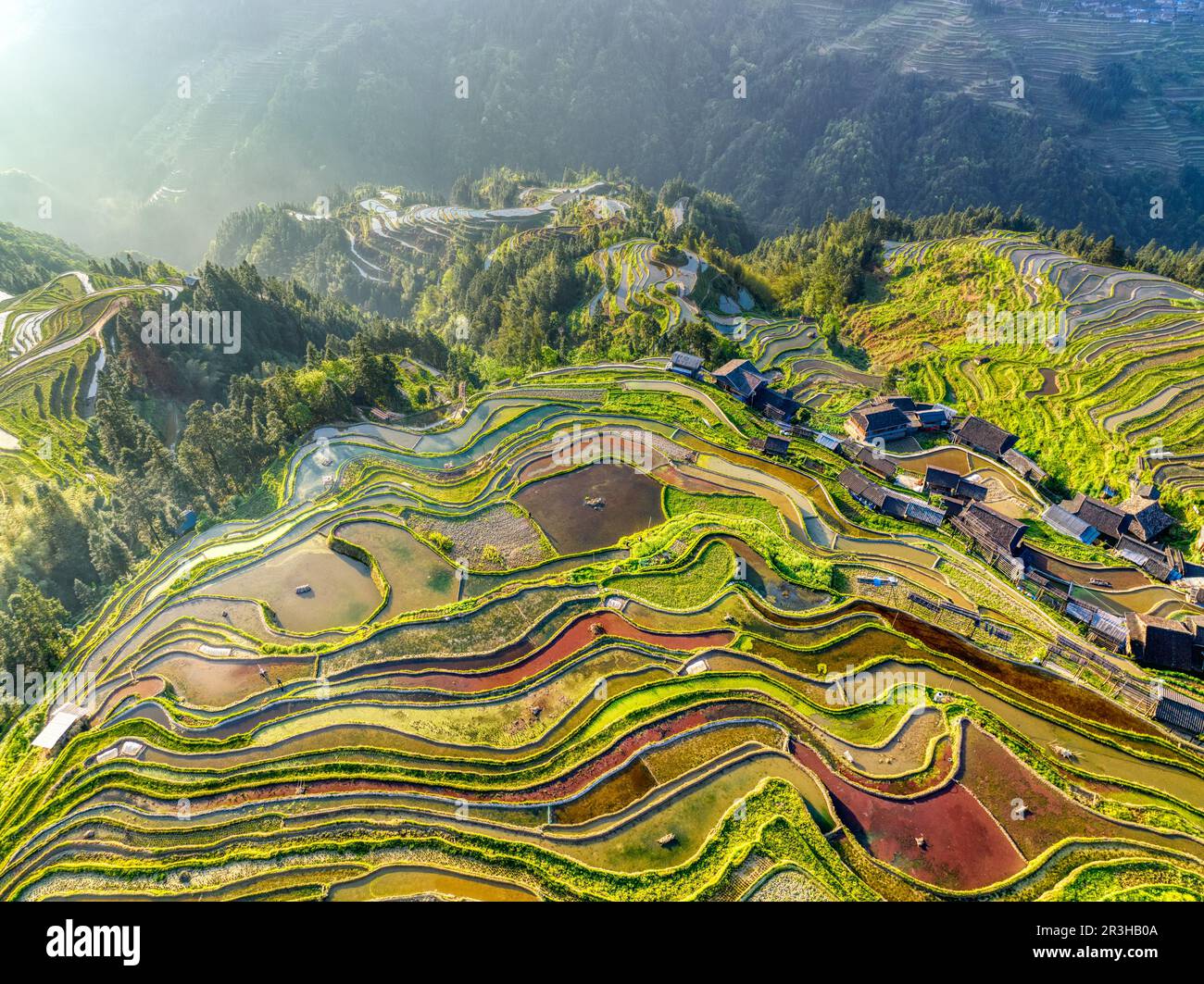vast expanses of terrace fields under cloud sea Stock Photo - Alamy