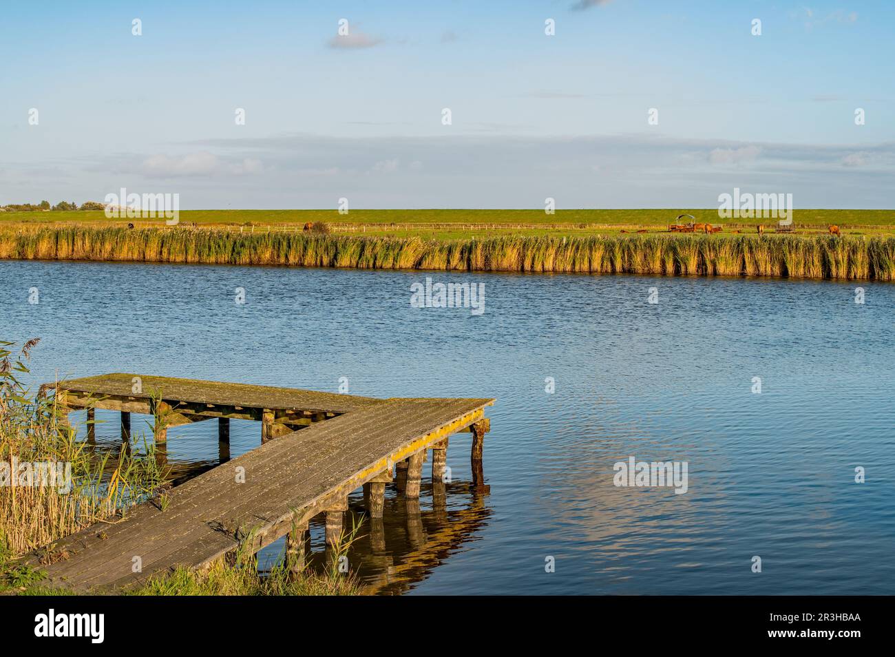 Jetty perspective hi-res stock photography and images - Alamy
