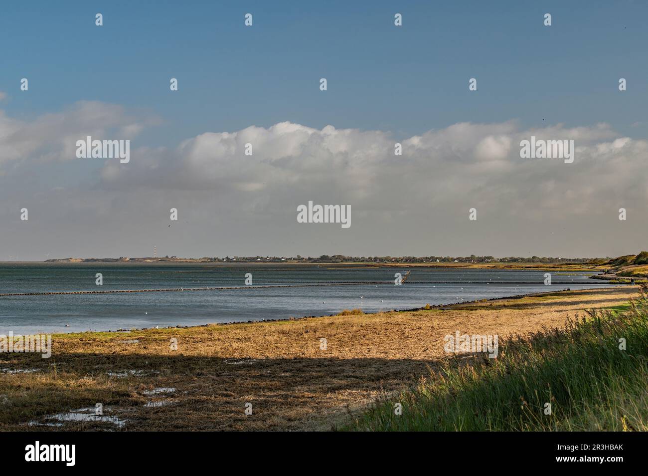 Wadden sea nature reserve hi-res stock photography and images - Alamy