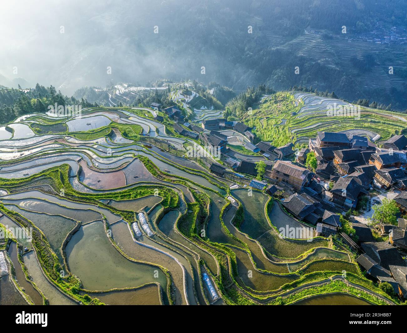 vast expanses of terrace fields under cloud sea Stock Photo - Alamy