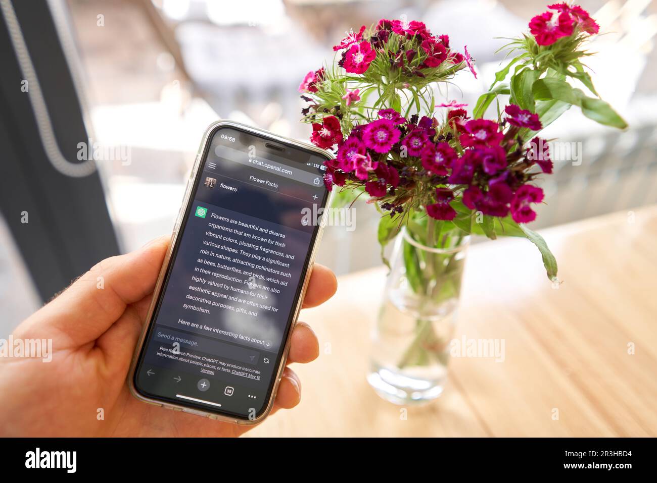 Spain, Barcelona - March 20 2023: Request in the chat "flowers ...