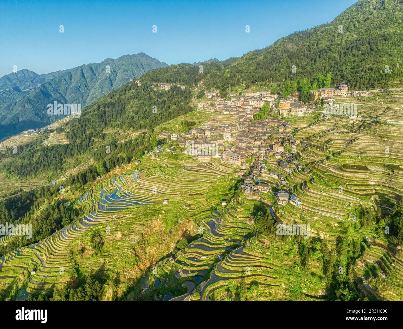 abstract curves of terrace fields on mountains Stock Photo - Alamy