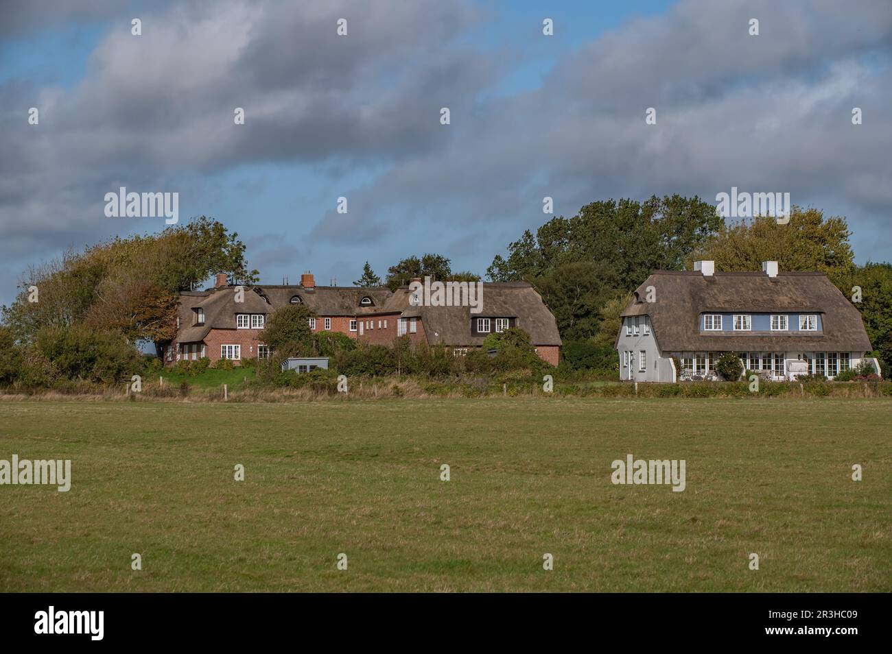 Coloring nature hi-res stock photography and images - Alamy