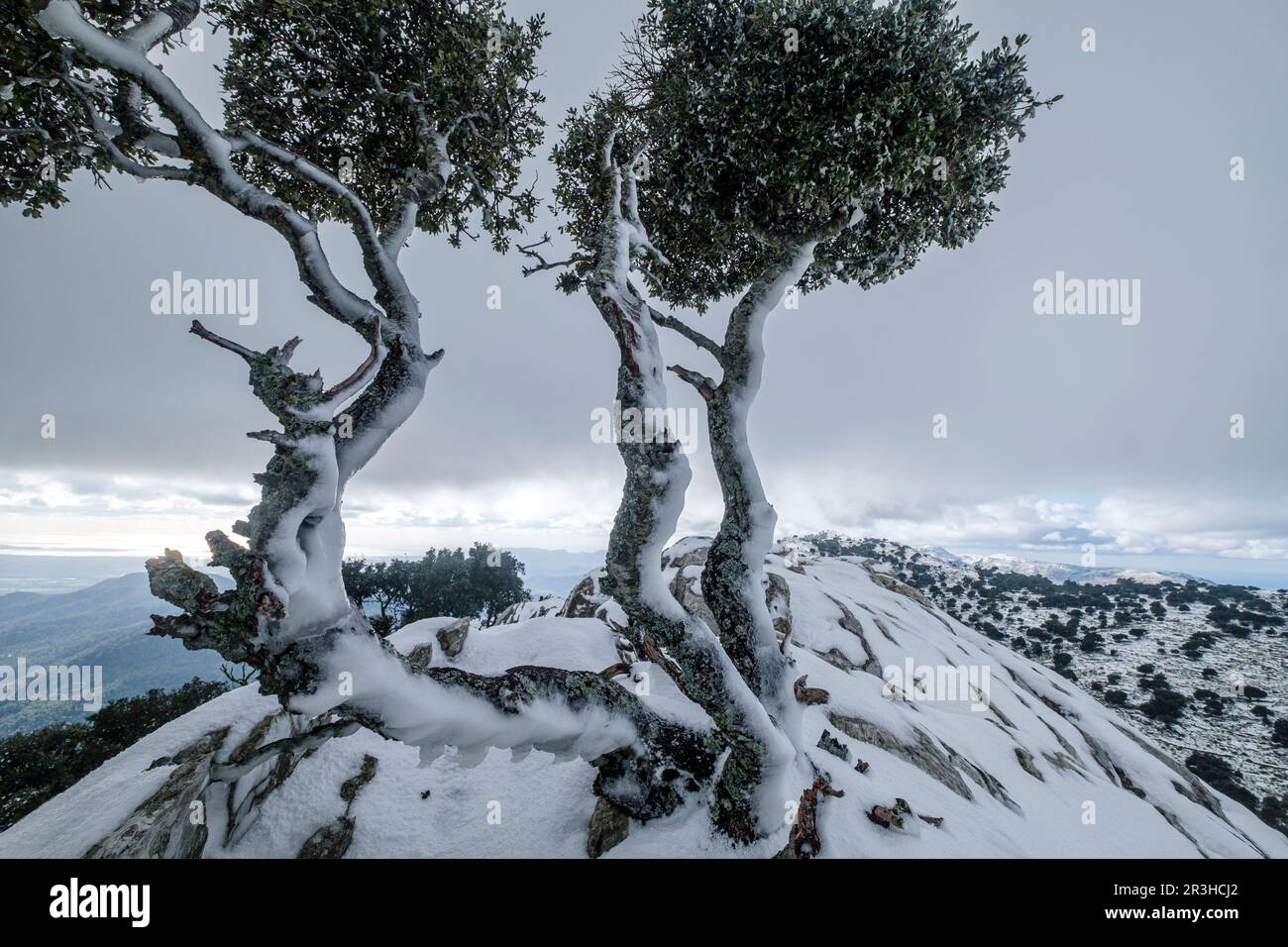 Era frio hi-res stock photography and images - Alamy