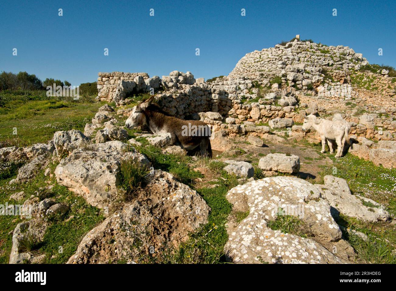 Santuario y Talayot Son Na Caçana, siglo X antes de Cristo. Alaior ...