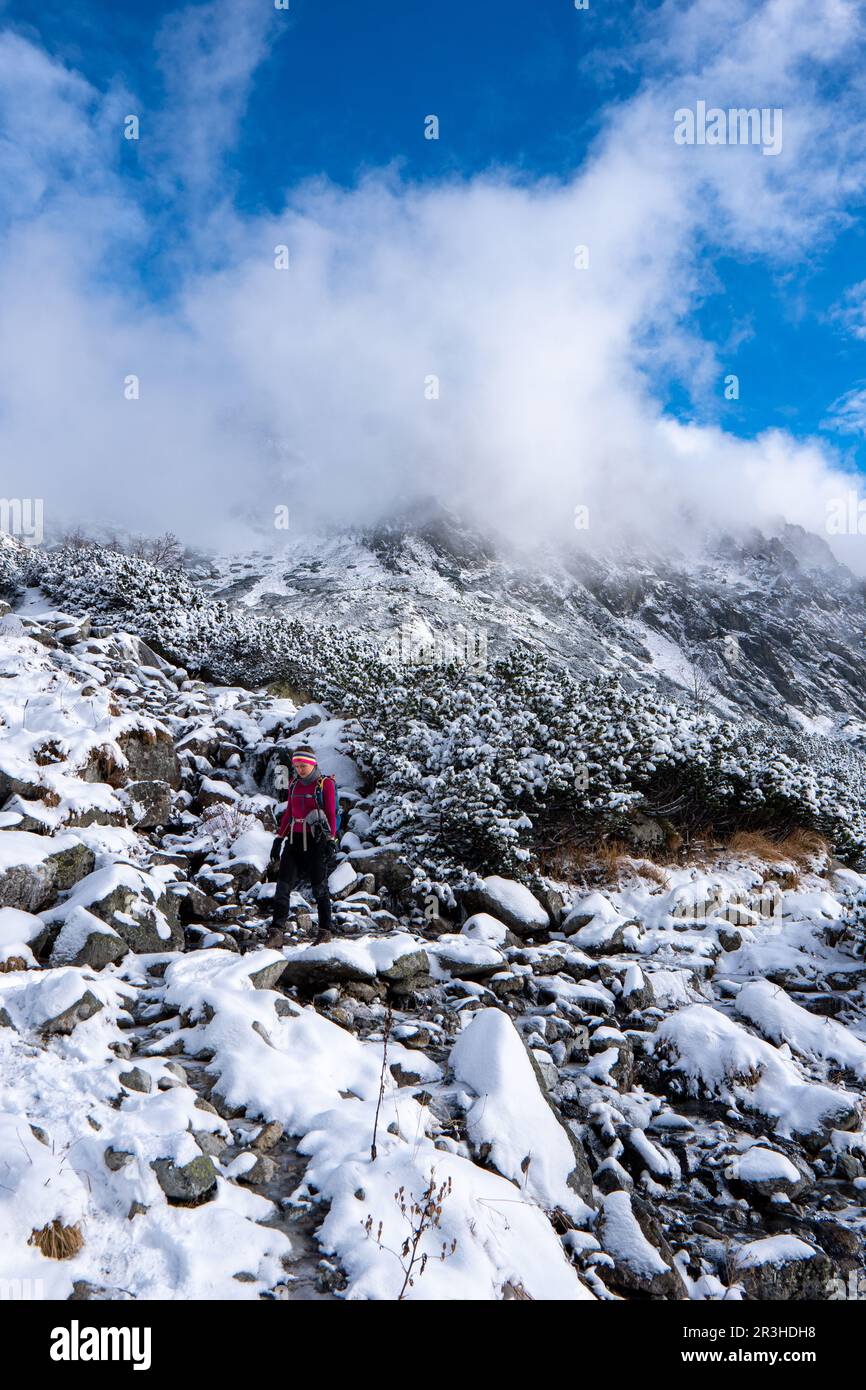 Hiker woman standing and looks around, admiring winter mountain ...