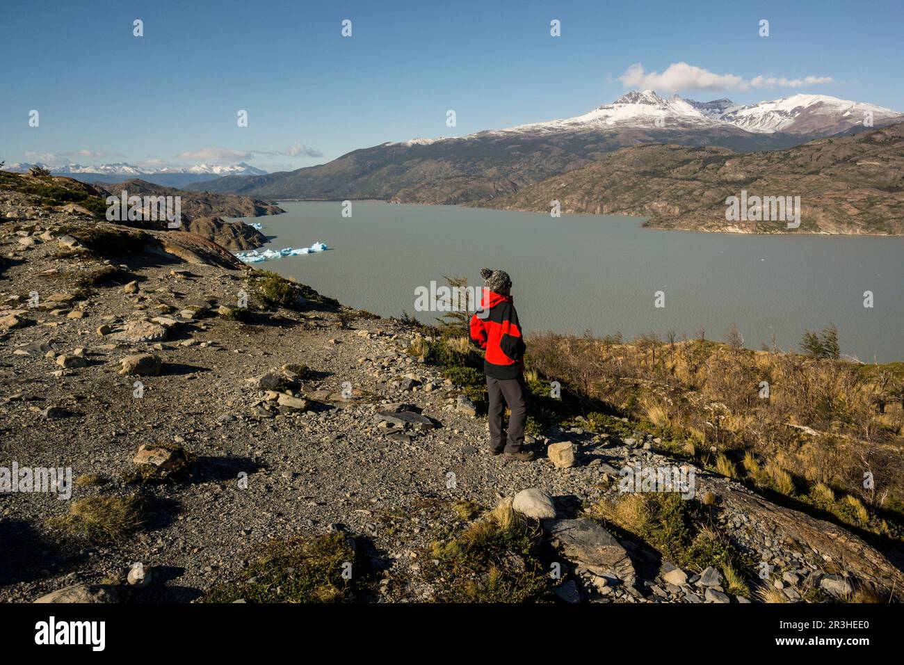 tempanos en el lago Grey, valle del lago Grey, trekking W, Parque ...