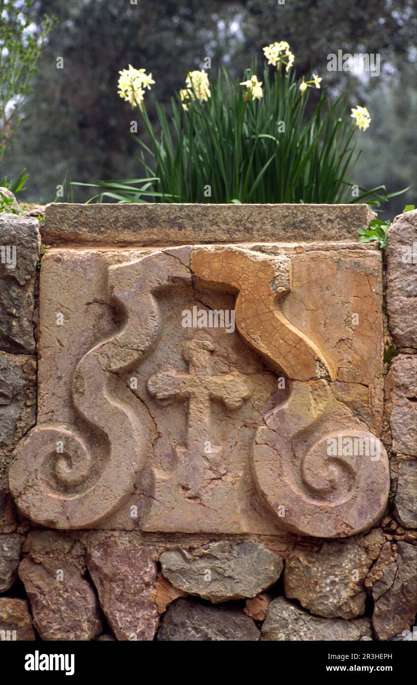 Tumba,Monasterio de Miramar, Valldemossa, Mallorca,Baleares,España ...
